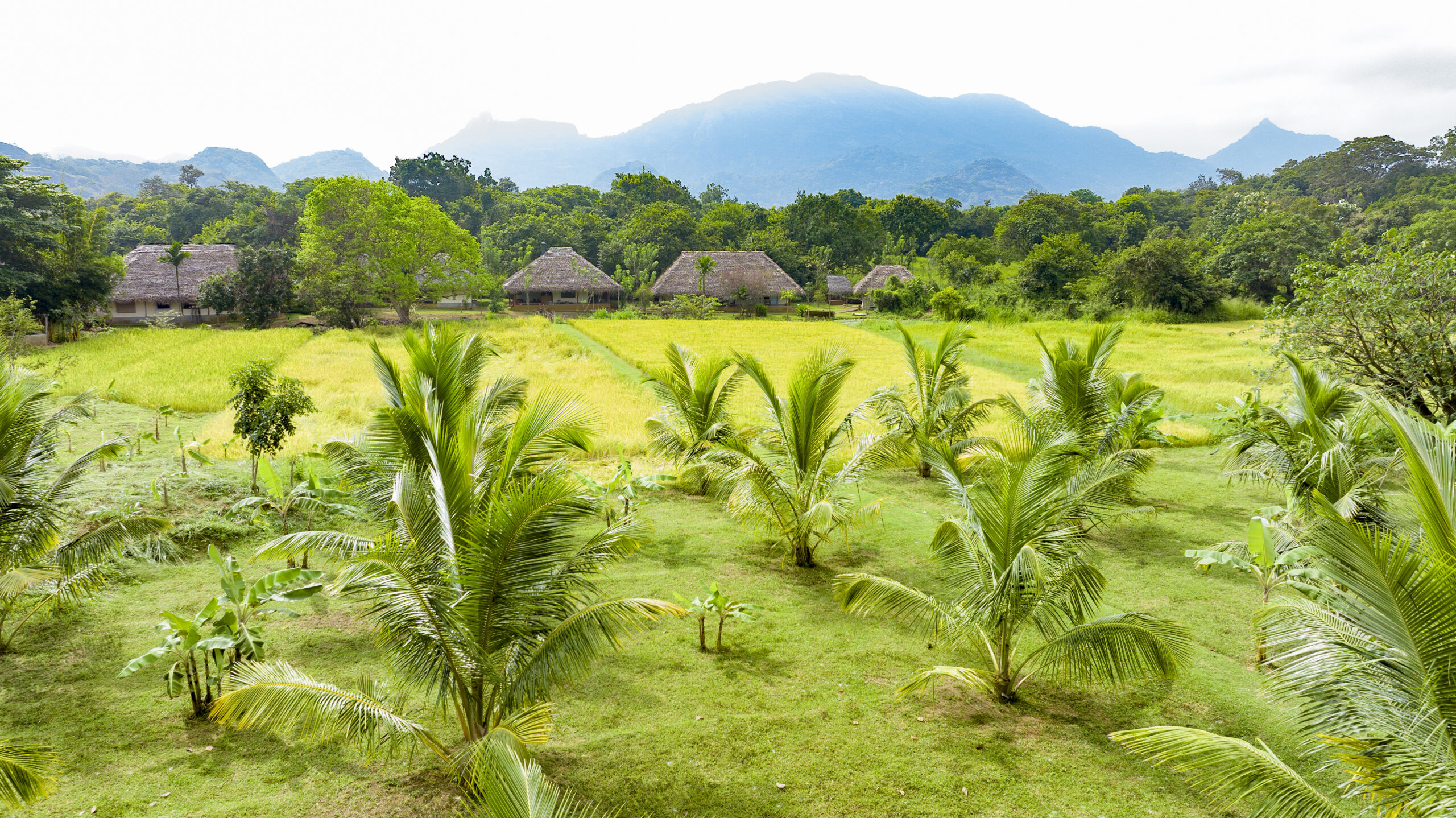 Sigiriya Things to Do | Amuna Experience at Amaya Lake Dambulla