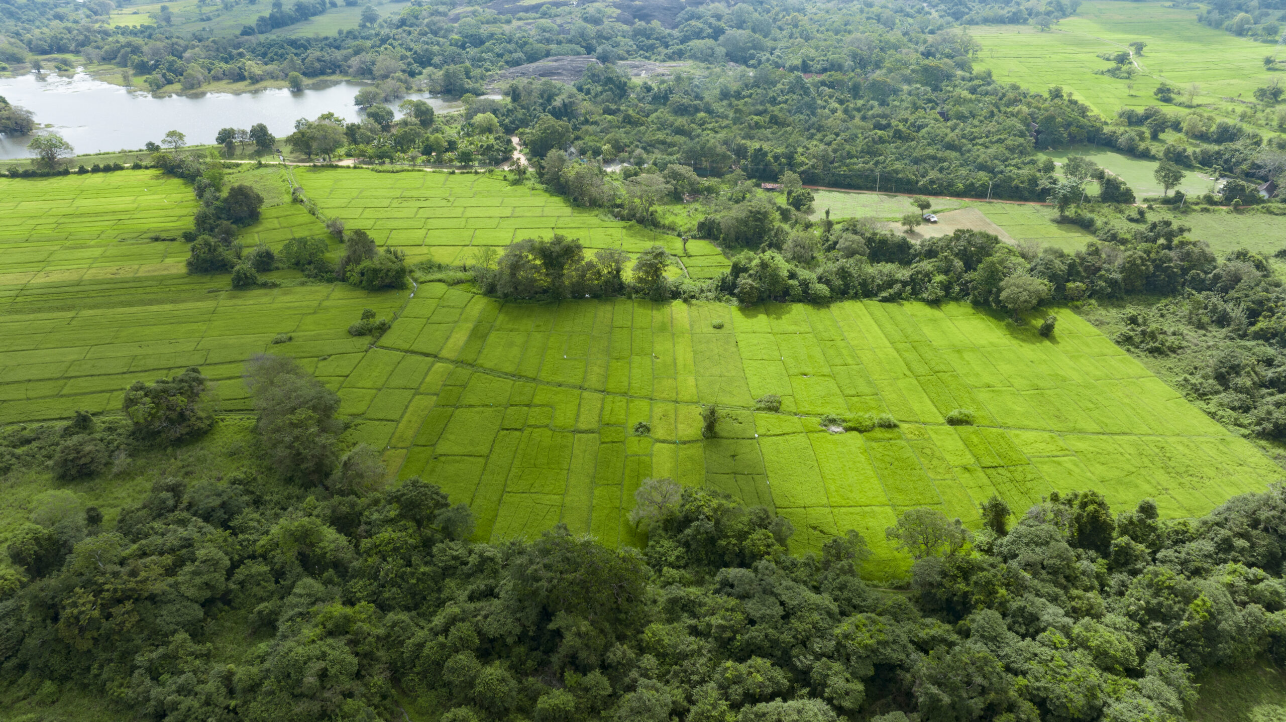 Sigiriya Things to Do | Amuna Experience at Amaya Lake Dambulla